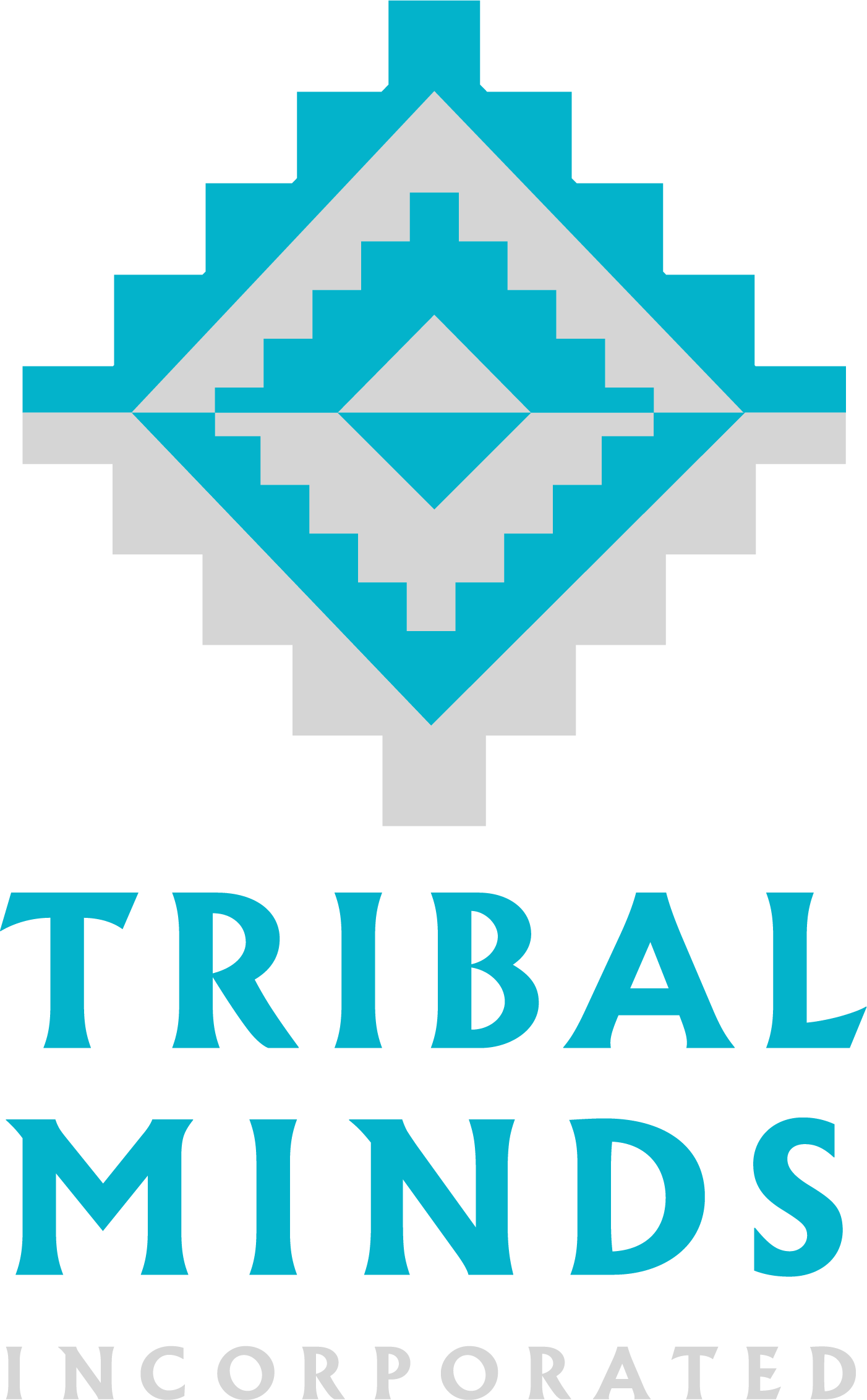 Our Programs | Tribal Minds, Inc.
