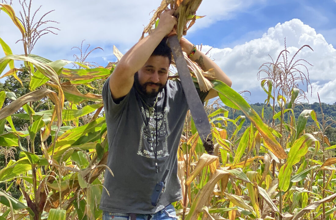 Indigenous Ideas | Tribal Minds, Inc.